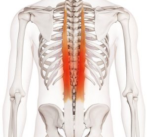 Symptoms & Conditions - New York Bone & Joint Specialists