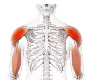 Symptoms & Conditions - New York Bone & Joint Specialists